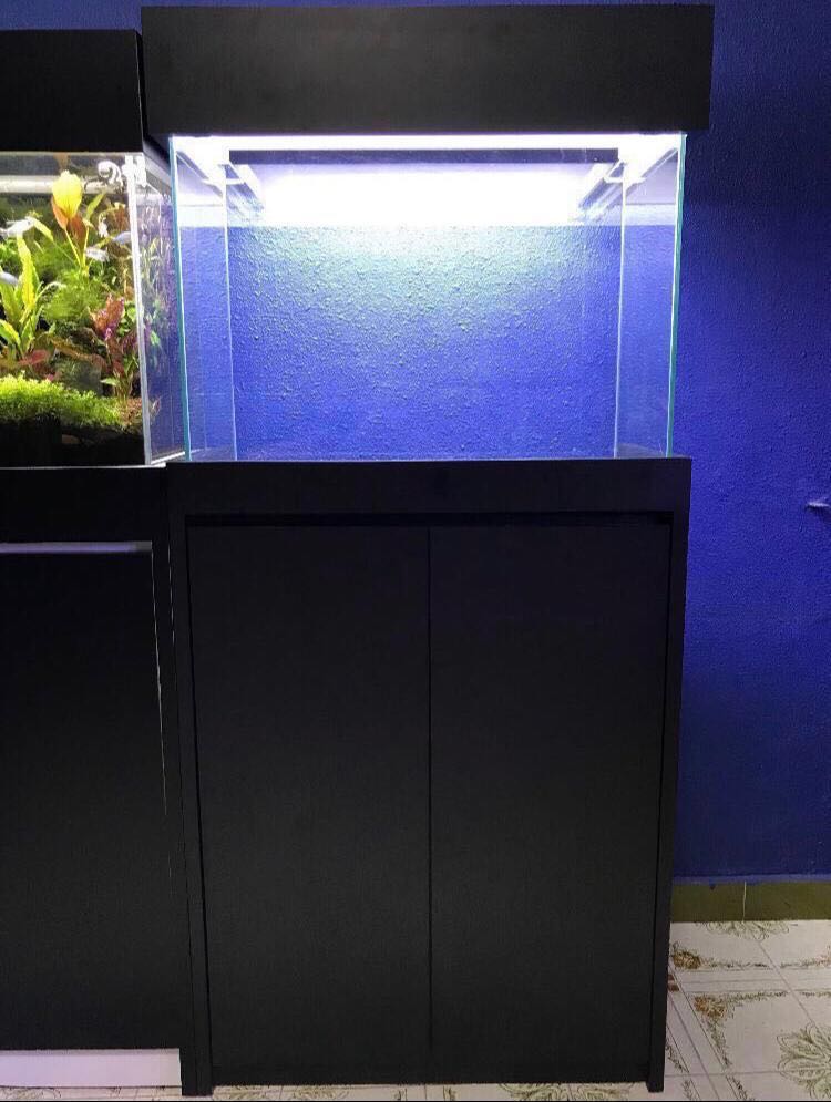 2 ft Aquarium Fish Tank, Pet Supplies, Homes & Other Pet Accessories on ...