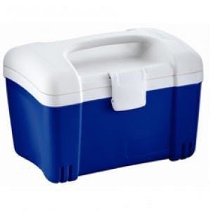 Coleman 12L Cooler Box, Furniture & Home Living, Kitchenware ...