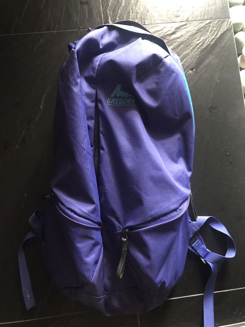 Gregory Day Pack, Men's Fashion, Bags, Backpacks on Carousell