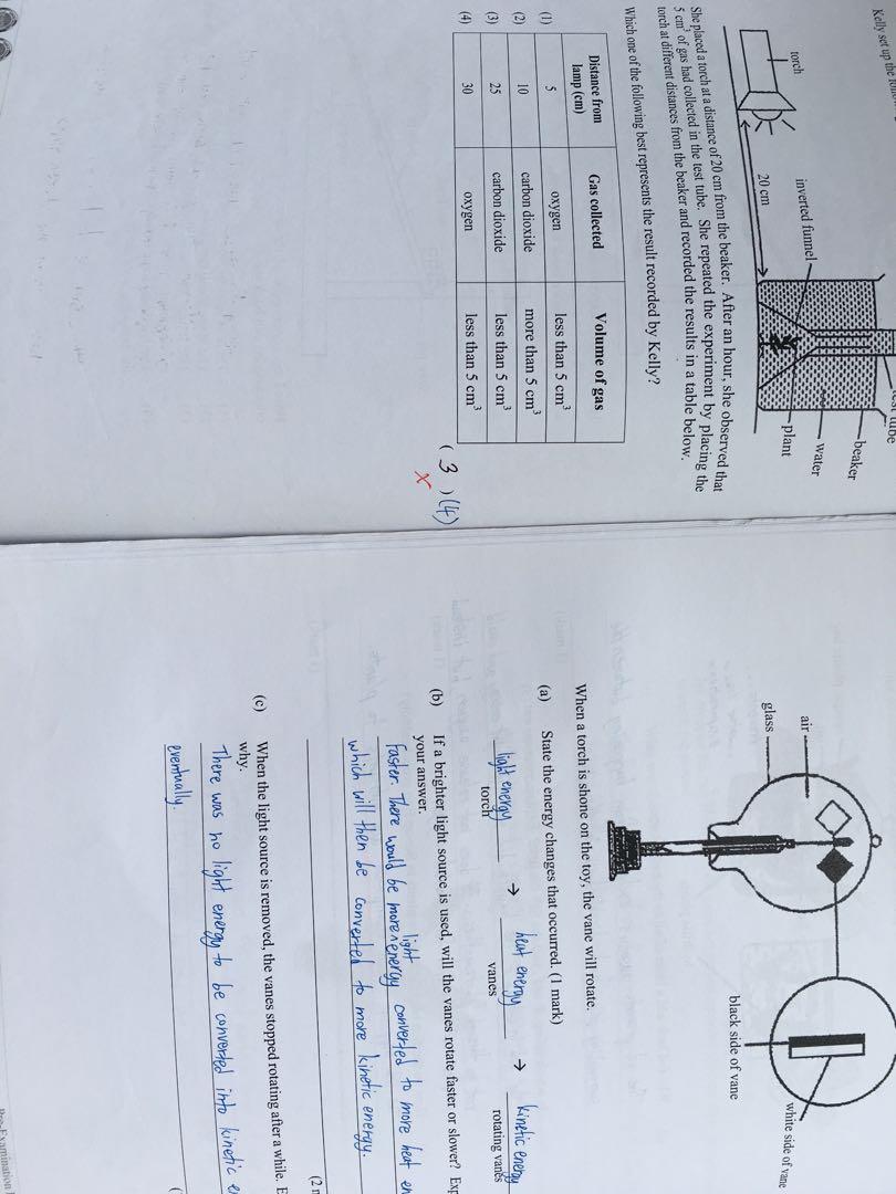 PSLE science notes : 2 original booklets, Hobbies & Toys, Books ...