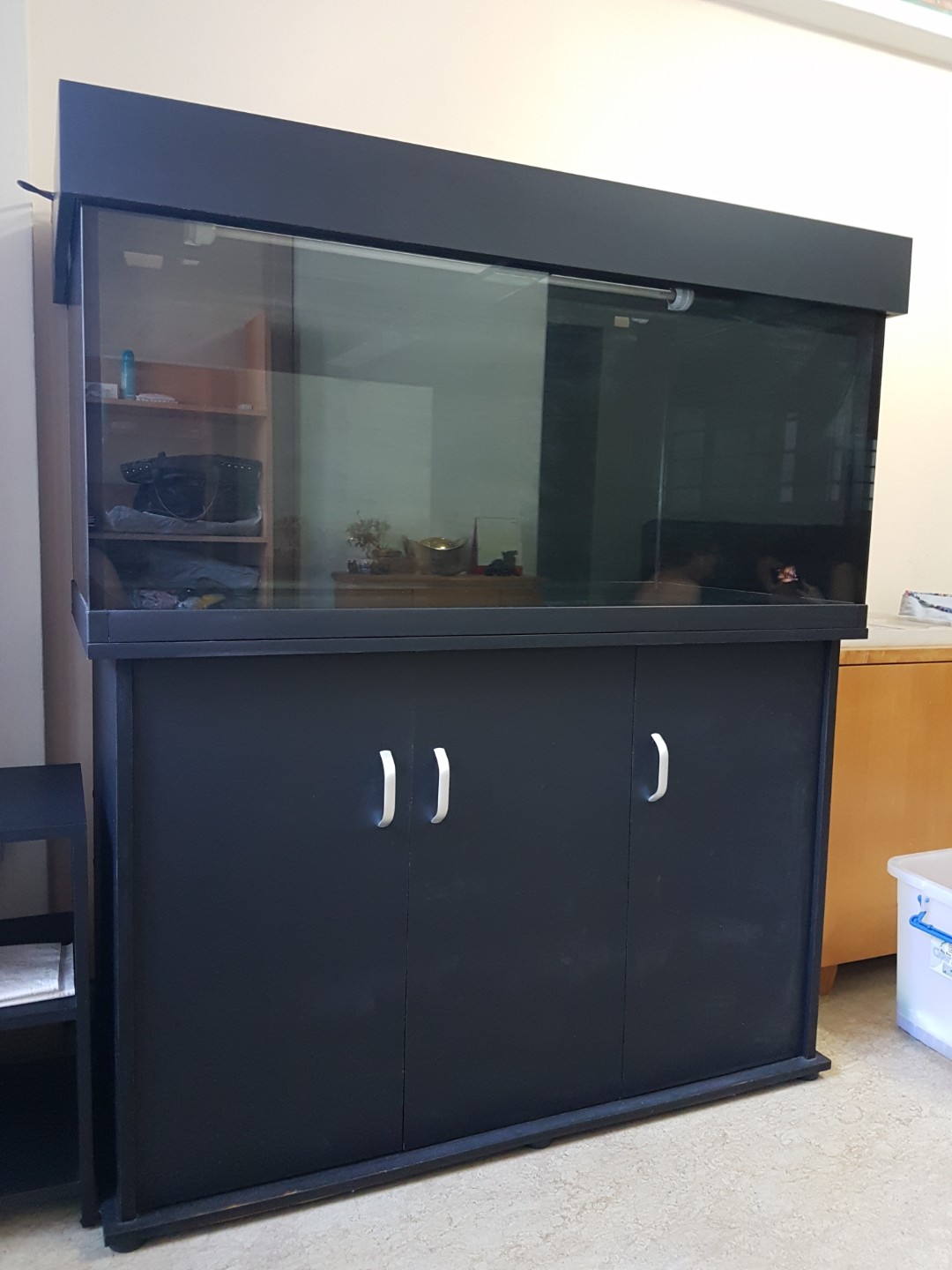 (NEGOTIATABLE) 4ft X 2ft X 2ft Fish Tank w Cabinet, Pet Supplies, Homes ...
