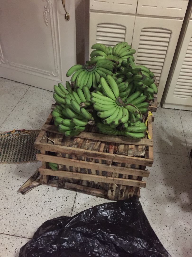 LAKATAN BANANA SAGING from BUKIDNON, Food & Drinks, Local Eats on Carousell