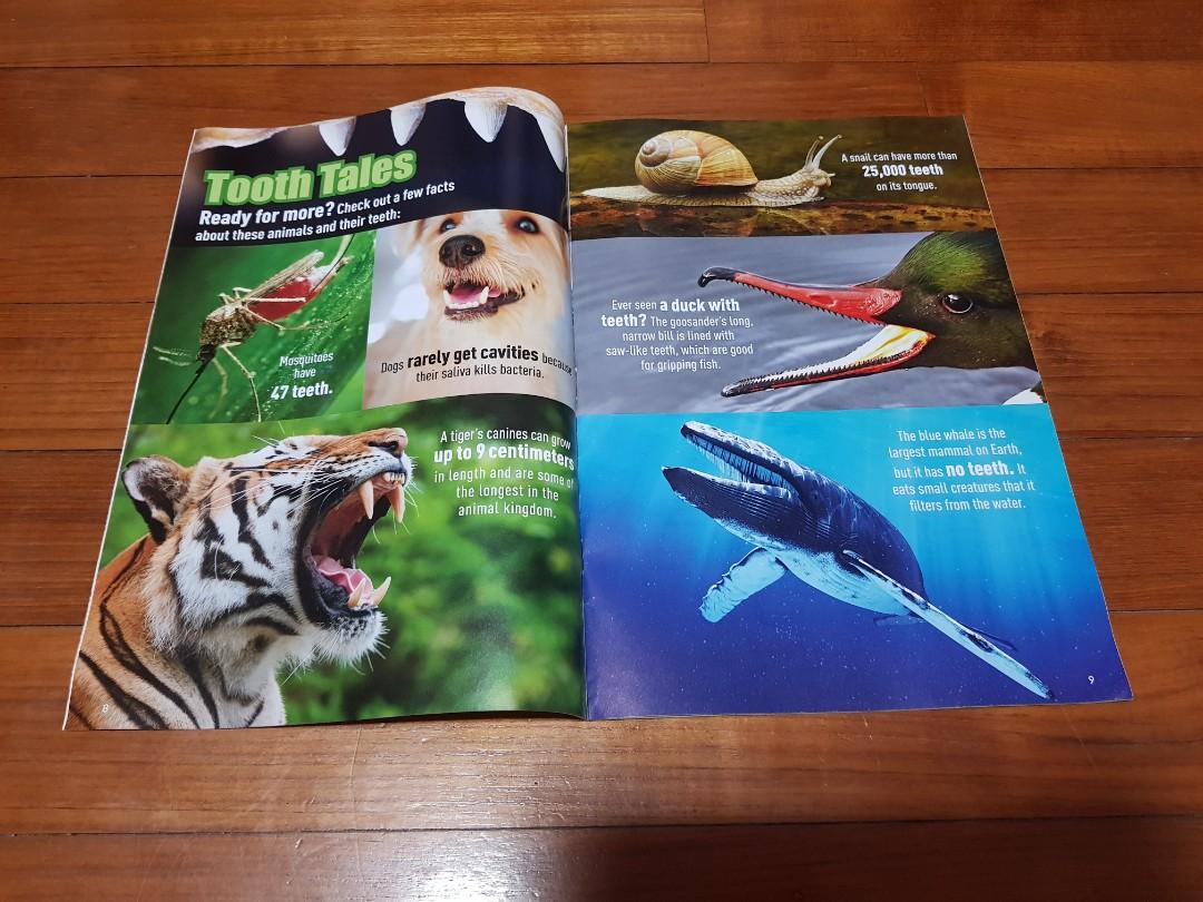 National Geographic young explorer and explorer magazines, Hobbies ...