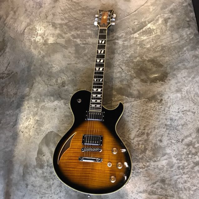 Schecter Solo 6 Custom E/A, Hobbies & Toys, Music & Media, Musical ...