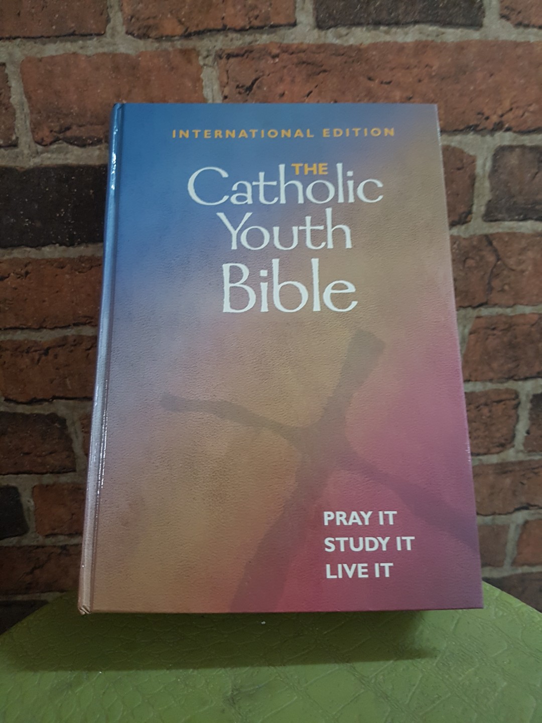 The Catholic Youth Bible, Hobbies & Toys, Books & Magazines, Fiction ...