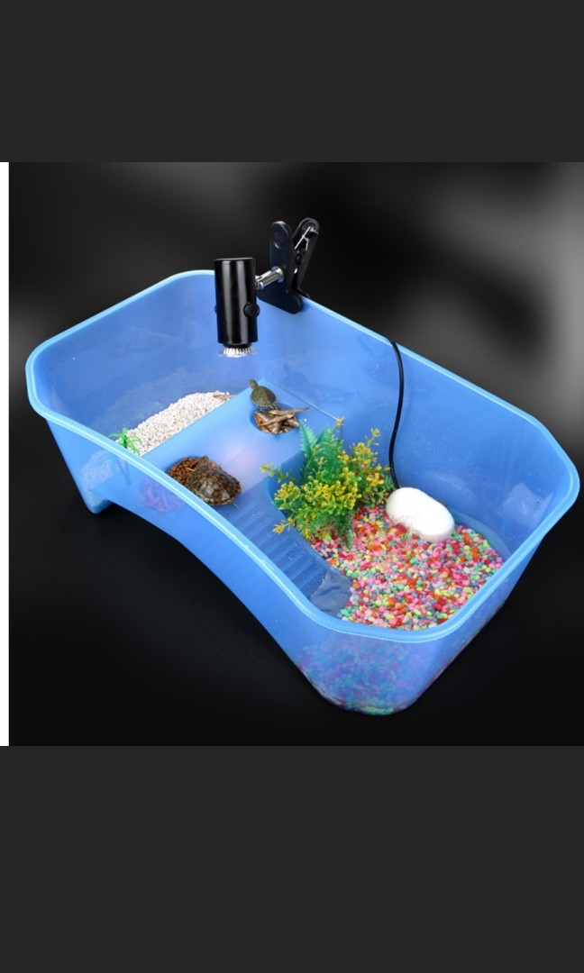 Plastic Tank for Terrapin / Tortise, Pet Supplies, Homes & Other Pet ...