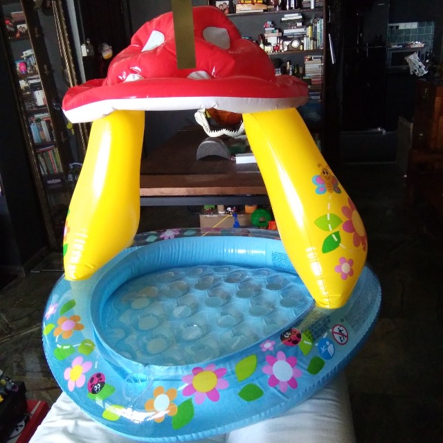 Inflatable Baby Pool - Mushroom Design, Babies & Kids, Infant Playtime ...