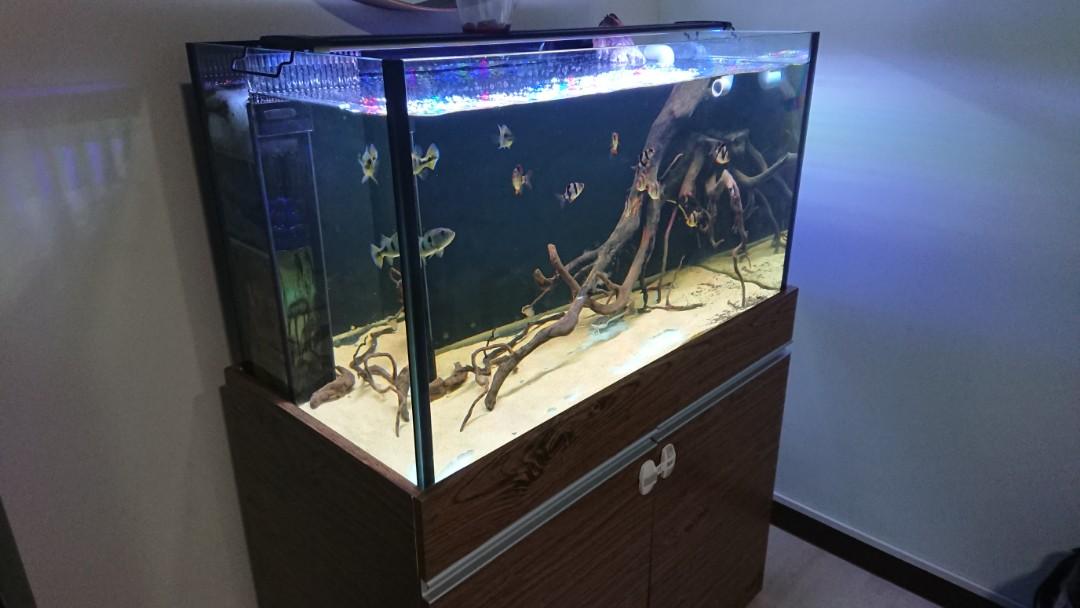 3 feet fish tank with sump, Pet Supplies, Homes & Other Pet Accessories ...