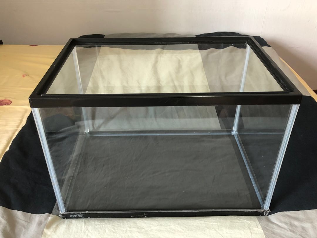 Terrapins tank, Pet Supplies, For Small Animals, Pet Accessories on ...