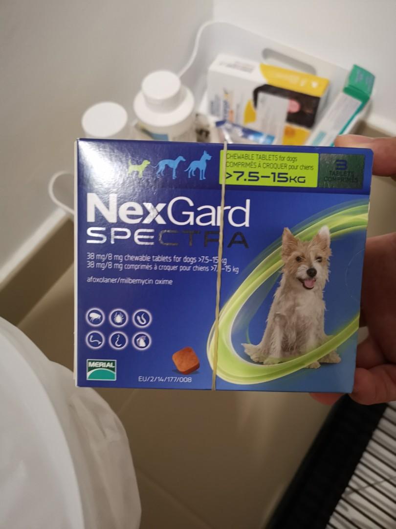 Nexguard, Pet Supplies, Health & Grooming on Carousell