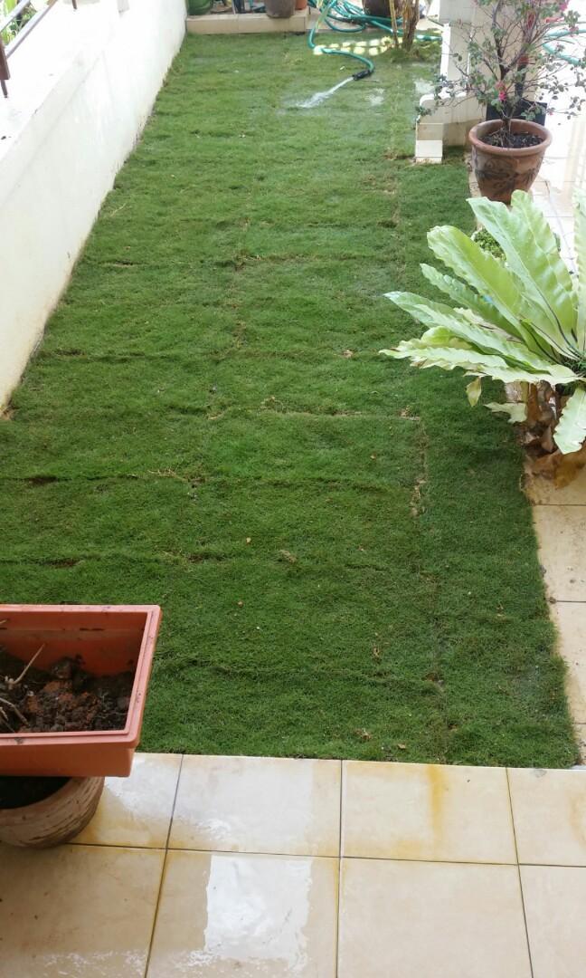 Saipa2 nk potong rumput rumh atau tanam rumput blh call awau wasap sy ...