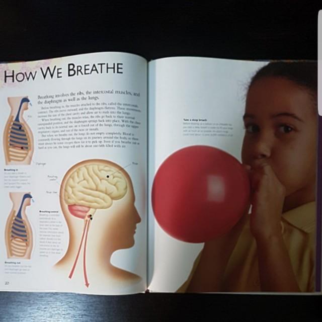 Organ Science Book - Under The Microscope by Grolier ( For those aimed ...