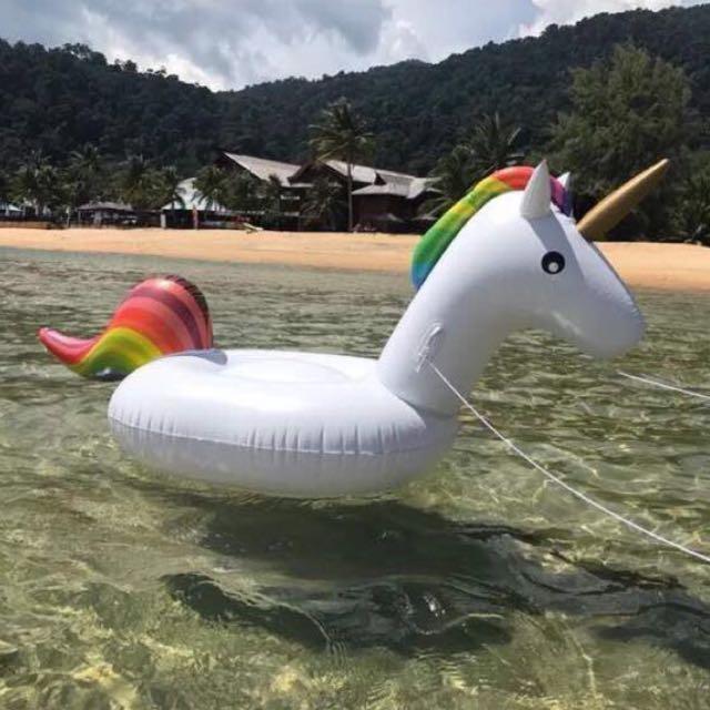Unicorn inflatable pool float, Hobbies & Toys, Toys & Games on Carousell