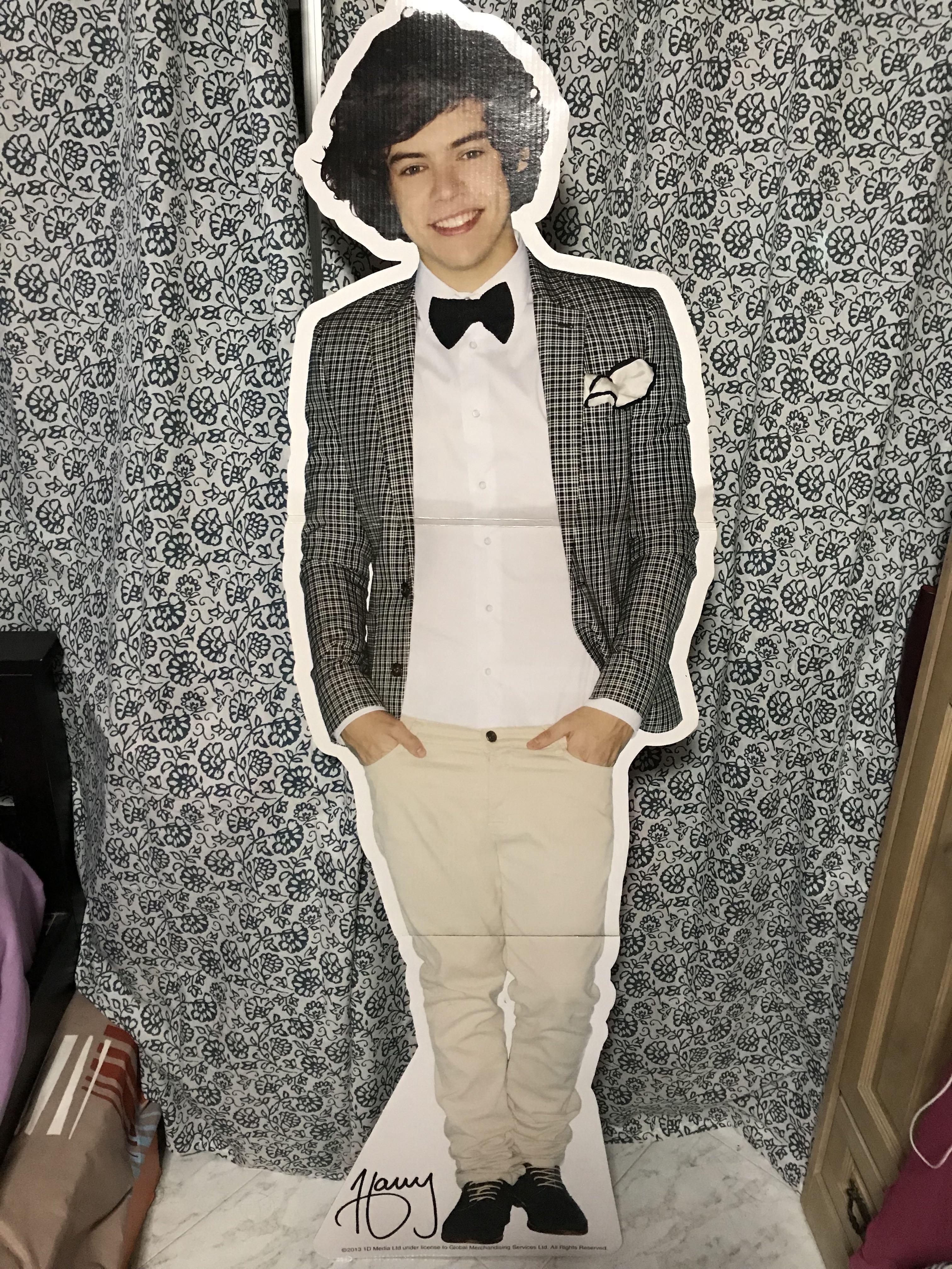 Harry Styles life-sized cardboard cut out, Hobbies & Toys, Memorabilia ...