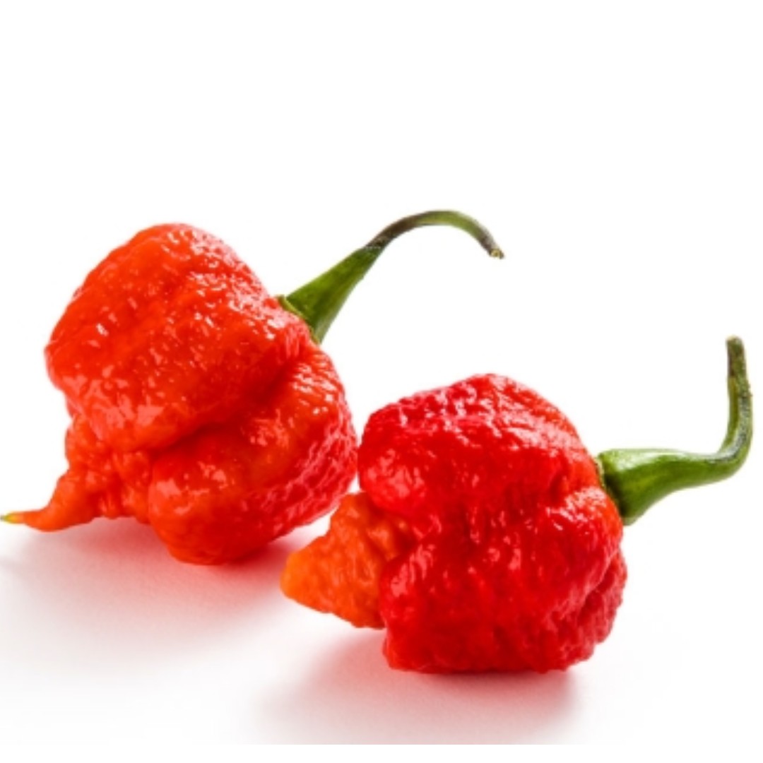 Fresh Organic Carolina Reaper (No. 1 Hottest Chili Pepper), Food ...