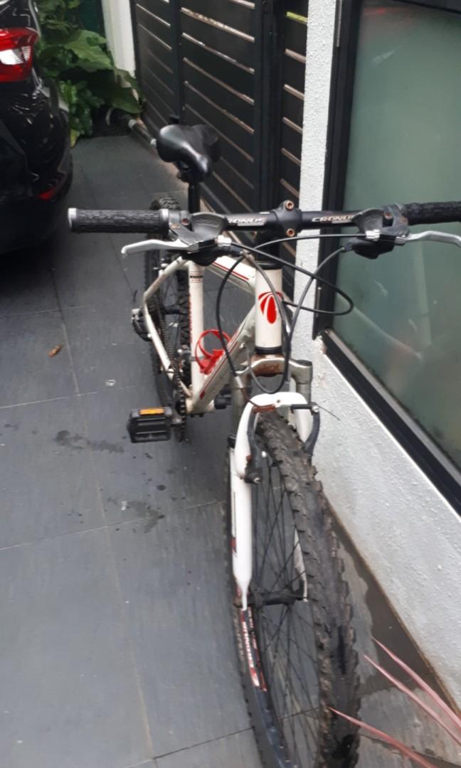 Cronus Tor 3.0 italy, Sports Equipment, Bicycles & Parts, Bicycles on ...