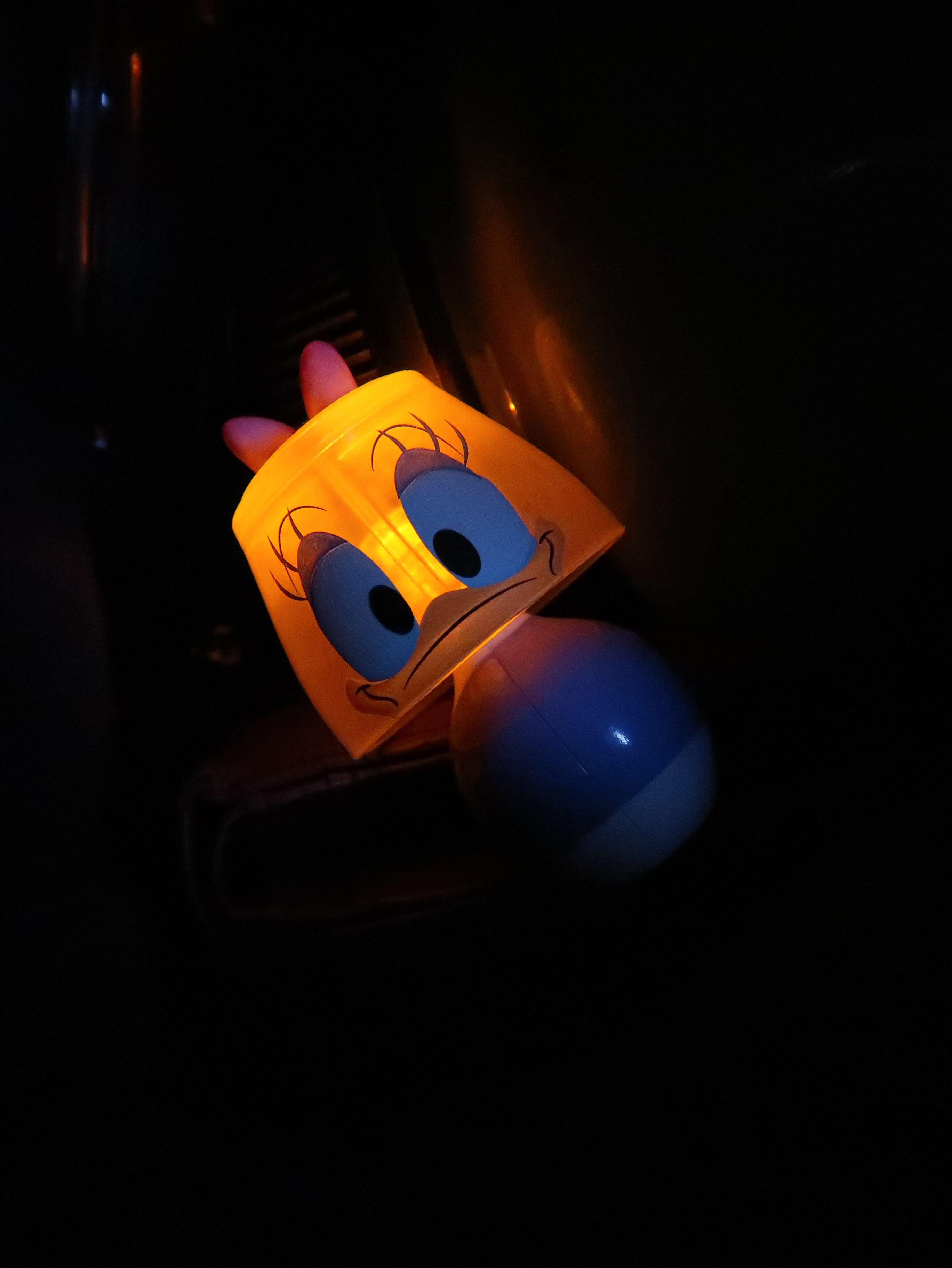 DAISY MINI MOOD LIGHT FROM DISNEY SHANGHAI FLAGSHIP STORE, Hobbies ...