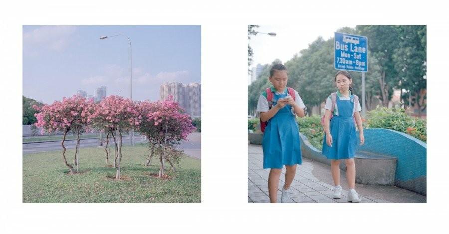 NGUAN Photo Book: How Loneliness Goes, Hobbies & Toys, Books ...