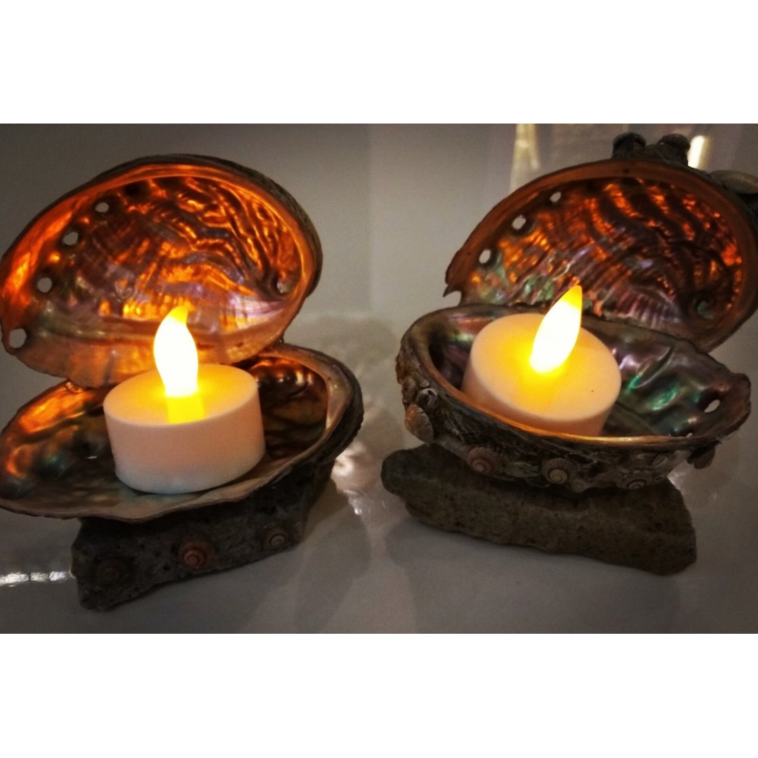OYSTER SEASHELL with battery operated TEA LIGHT, Babies & Kids, Baby ...