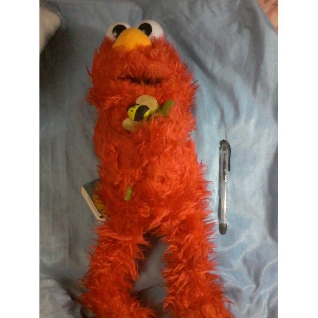 Sesame street elmo, Furniture & Home Living, Gardening, Plants & Seeds ...