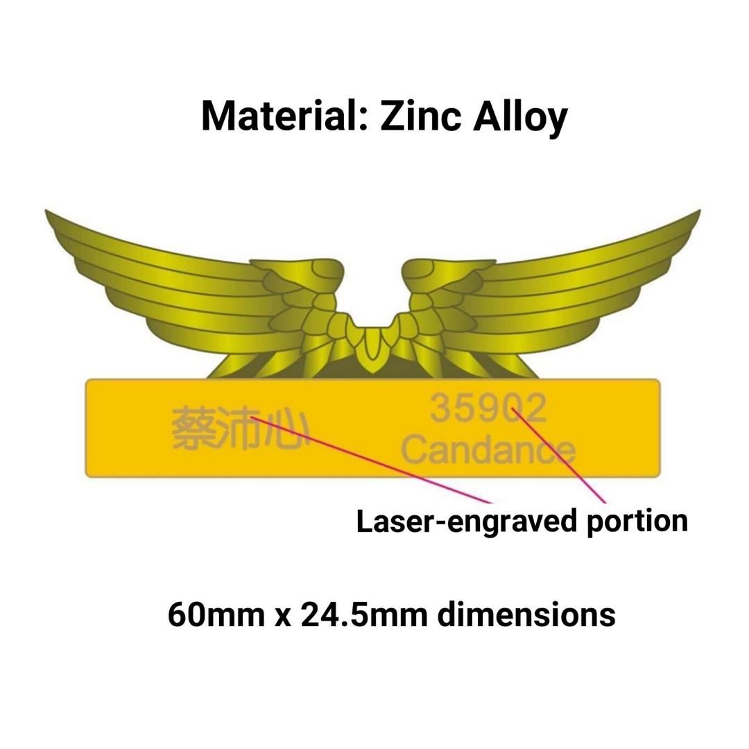 Customise Gold Tone Flight and Aerospace Badges, Hobbies & Toys ...