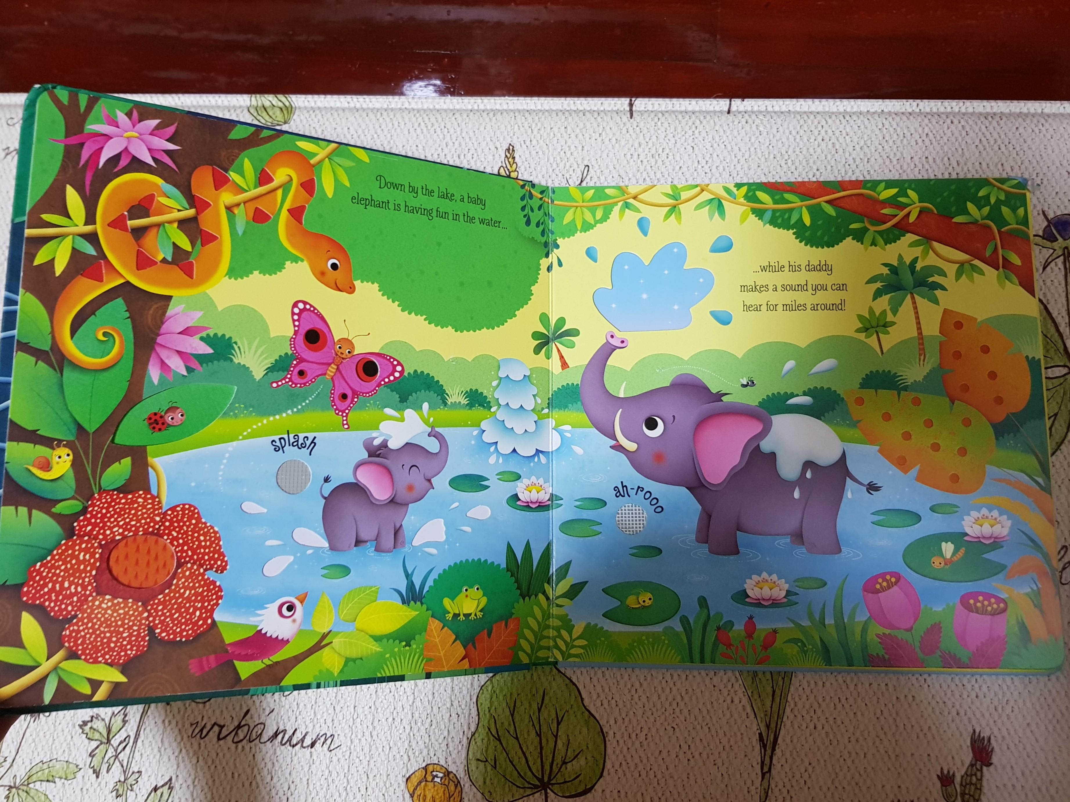 Usborne Sound Books (Bundle): Garden Sounds and Jungle Sounds, Hobbies ...