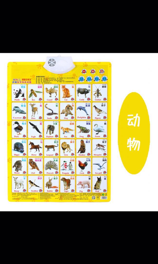 Berries like Chinese Chart with sound, Hobbies & Toys, Books ...