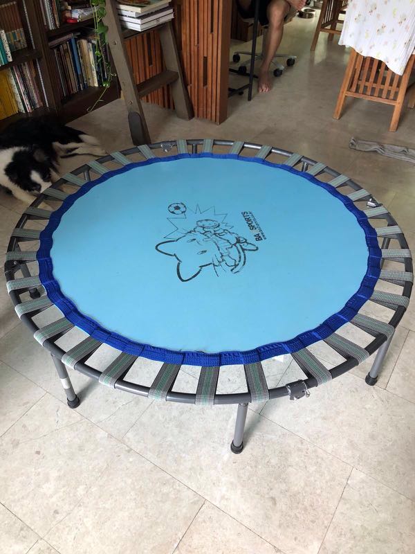 Trampoline, Sports Equipment, Exercise & Fitness, Cardio & Fitness ...