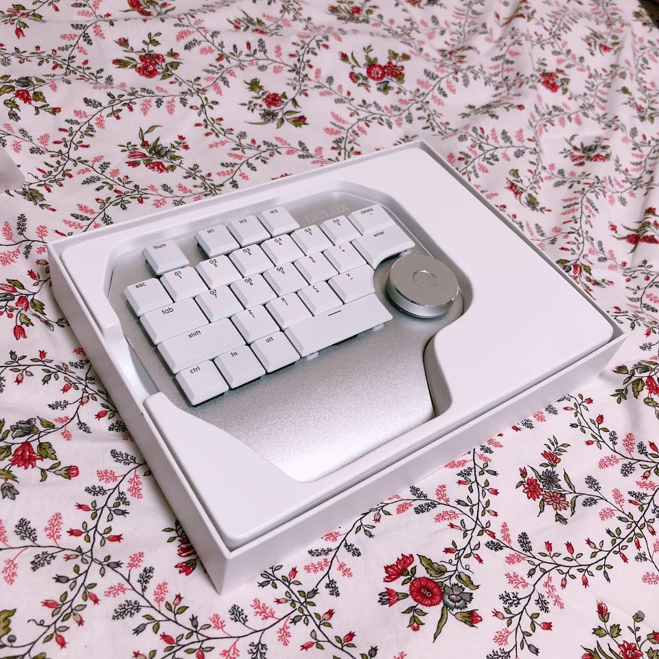 Delux T11 Designer Keyboard, Computers & Tech, Parts & Accessories ...