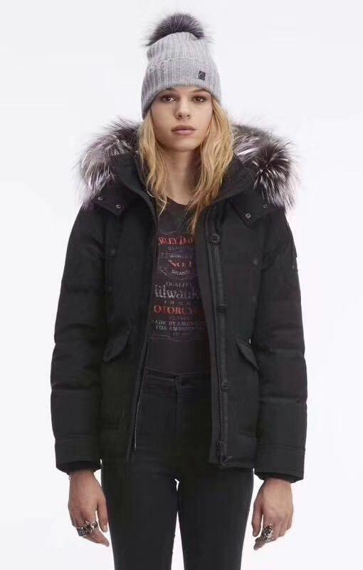 Moose Knuckles Canada Winter Jacket, Luxury, Apparel on Carousell