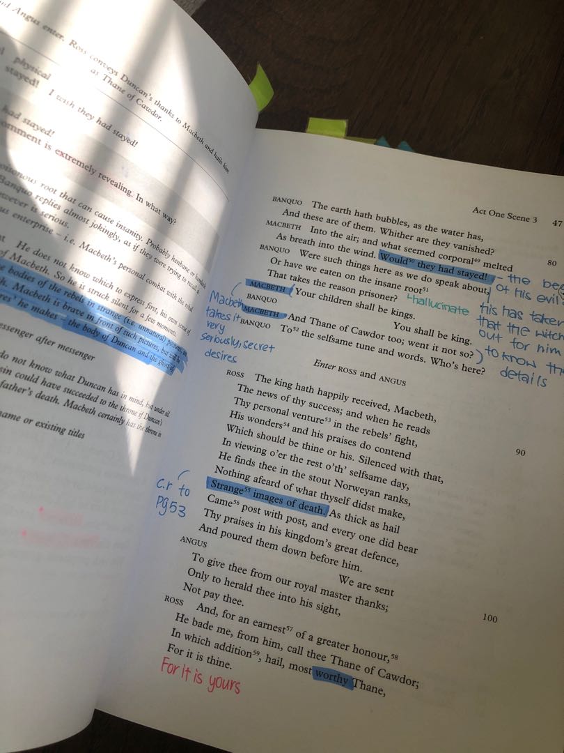 Macbeth by William Shakespeares (Pansing), Hobbies & Toys, Books ...