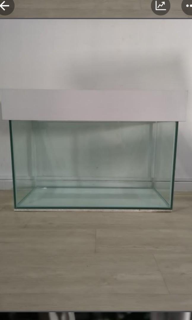 Fish tank 75cm L x 45cm H x 30cm W, 7mm thick!!, Pet Supplies, Homes ...