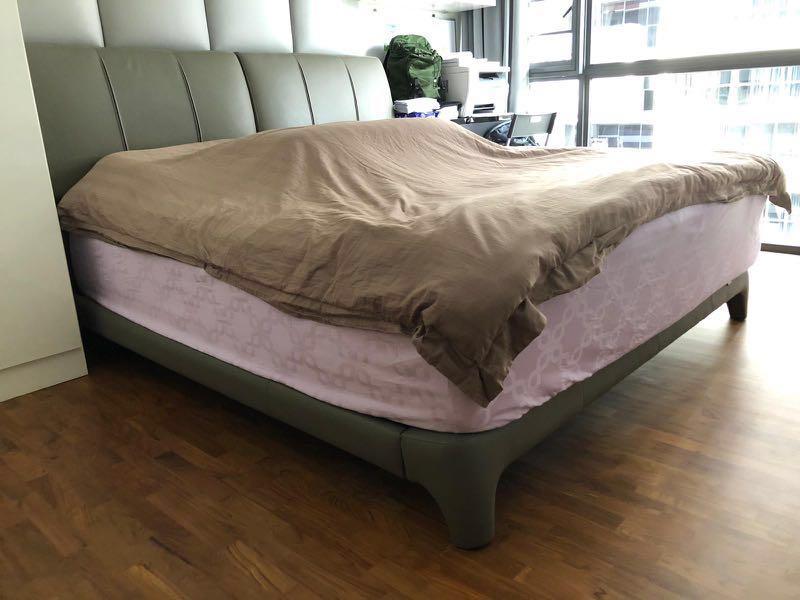 Cellini bed frame, Furniture & Home Living, Furniture, Bed Frames ...