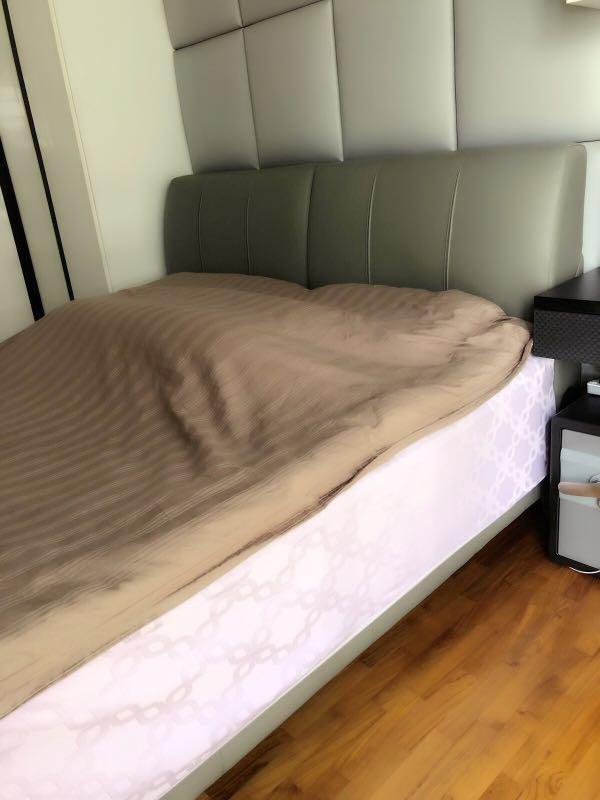 Cellini bed frame, Furniture & Home Living, Furniture, Bed Frames ...