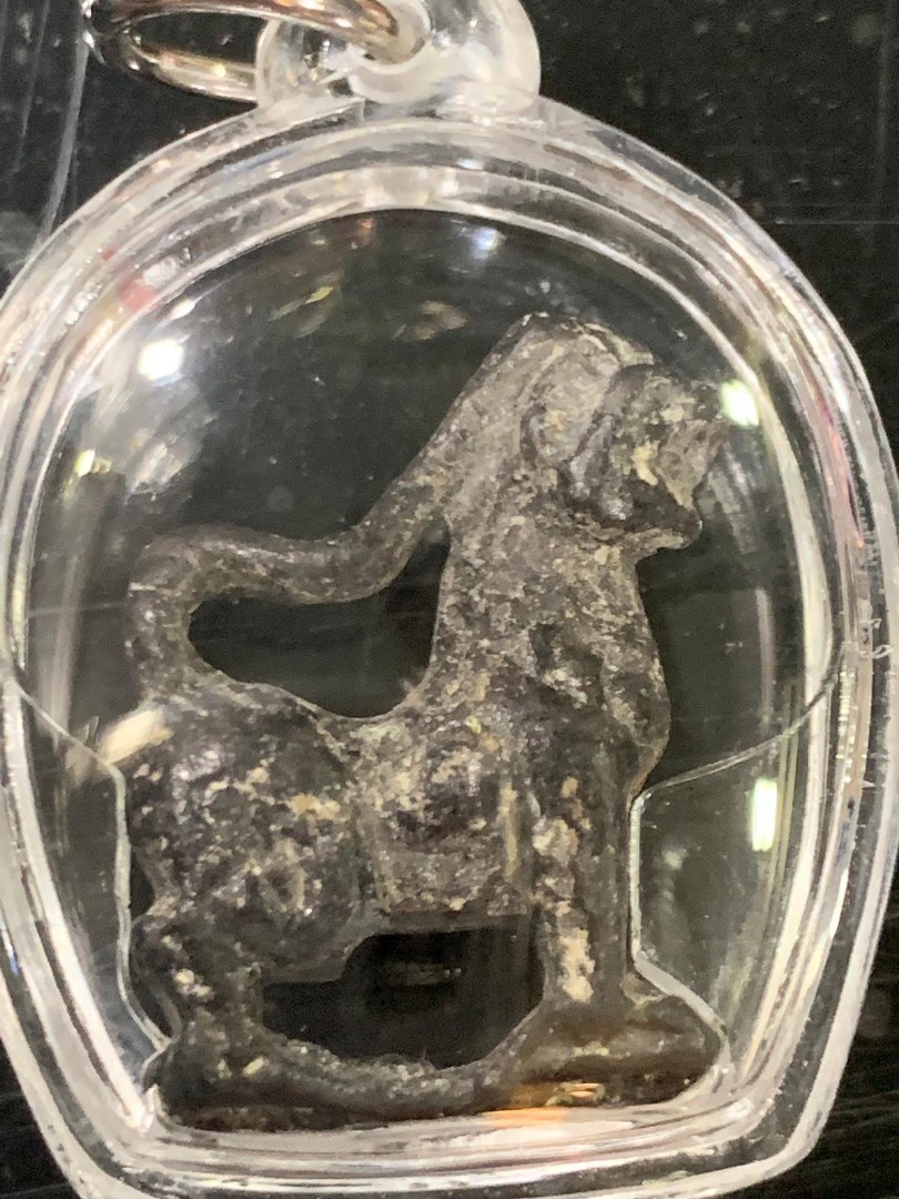 Lp Kuay's singha (Wat Kositaram) BE2521, Hobbies & Toys, Memorabilia ...