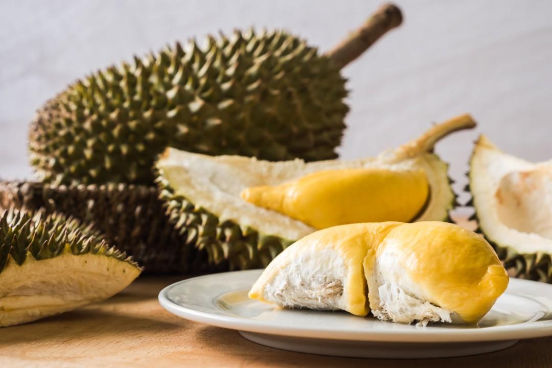 Premium Quality Durian Puree, Food & Drinks, Packaged & Instant Food on ...