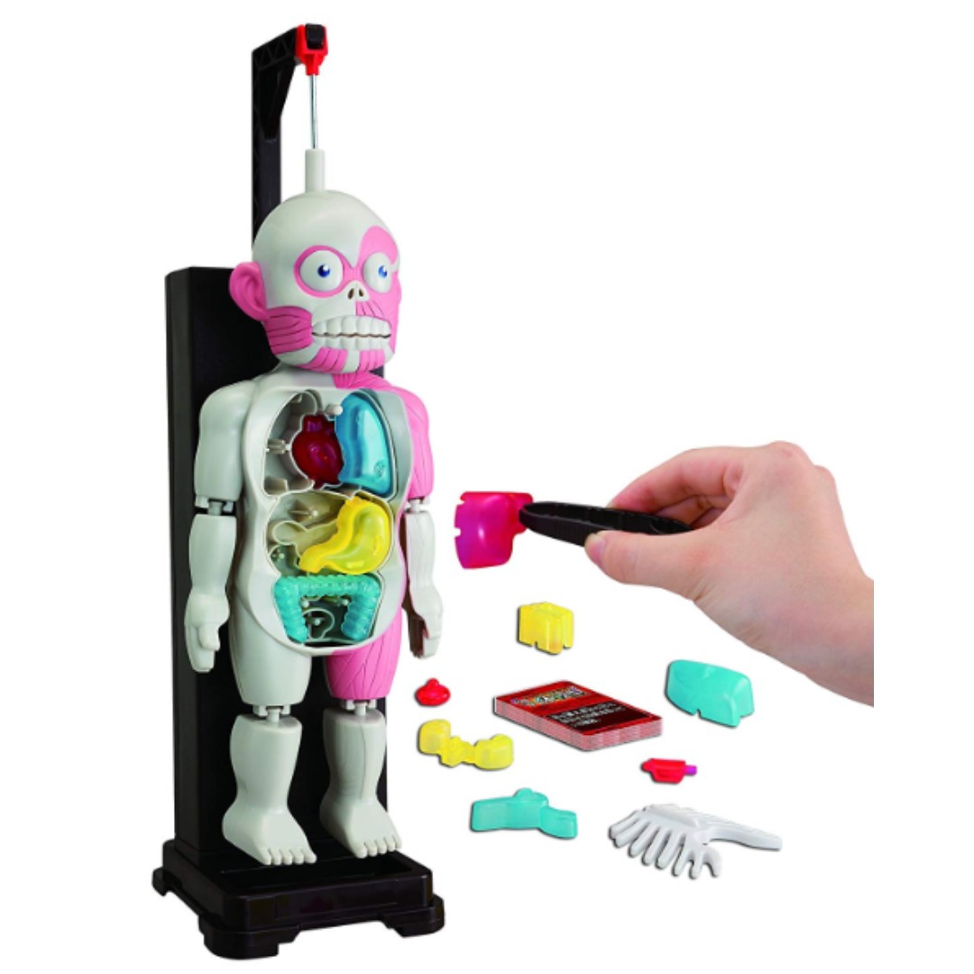 Pre-Order for Human Anatomy Dissection Puzzle (Interactive), Hobbies ...