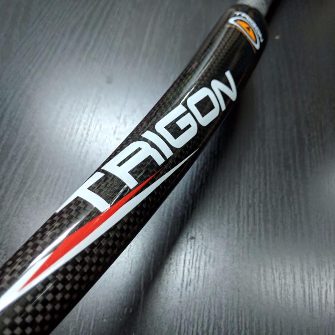 Trigon 700c Full Carbon Fork, Sports Equipment, Bicycles & Parts ...