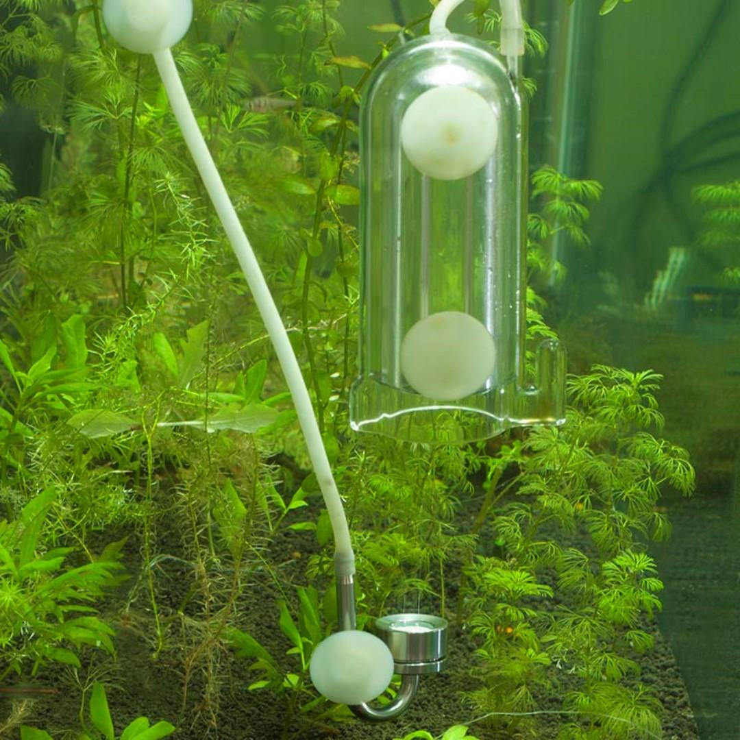 CO2 Bell Difffuser, Pet Supplies, Homes & Other Pet Accessories on ...