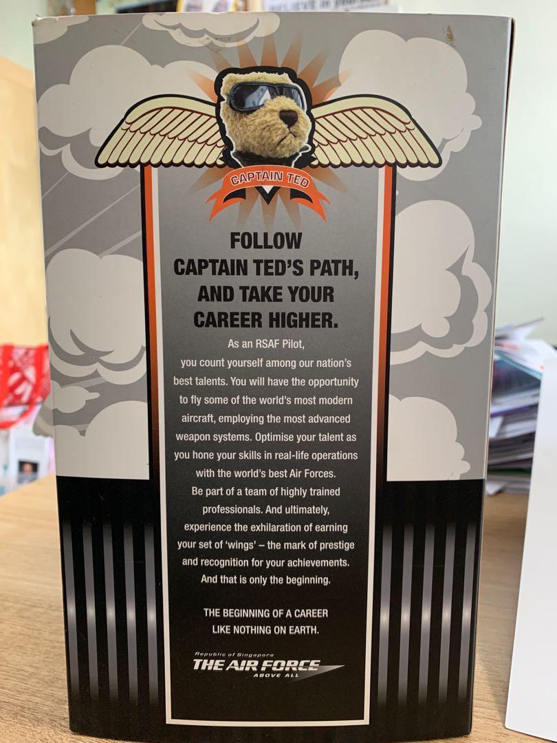 Limited Edition RSAF Singapore Air Force Captain Teo Teddy Bear ...