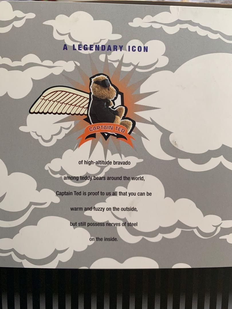 Limited Edition RSAF Singapore Air Force Captain Teo Teddy Bear ...