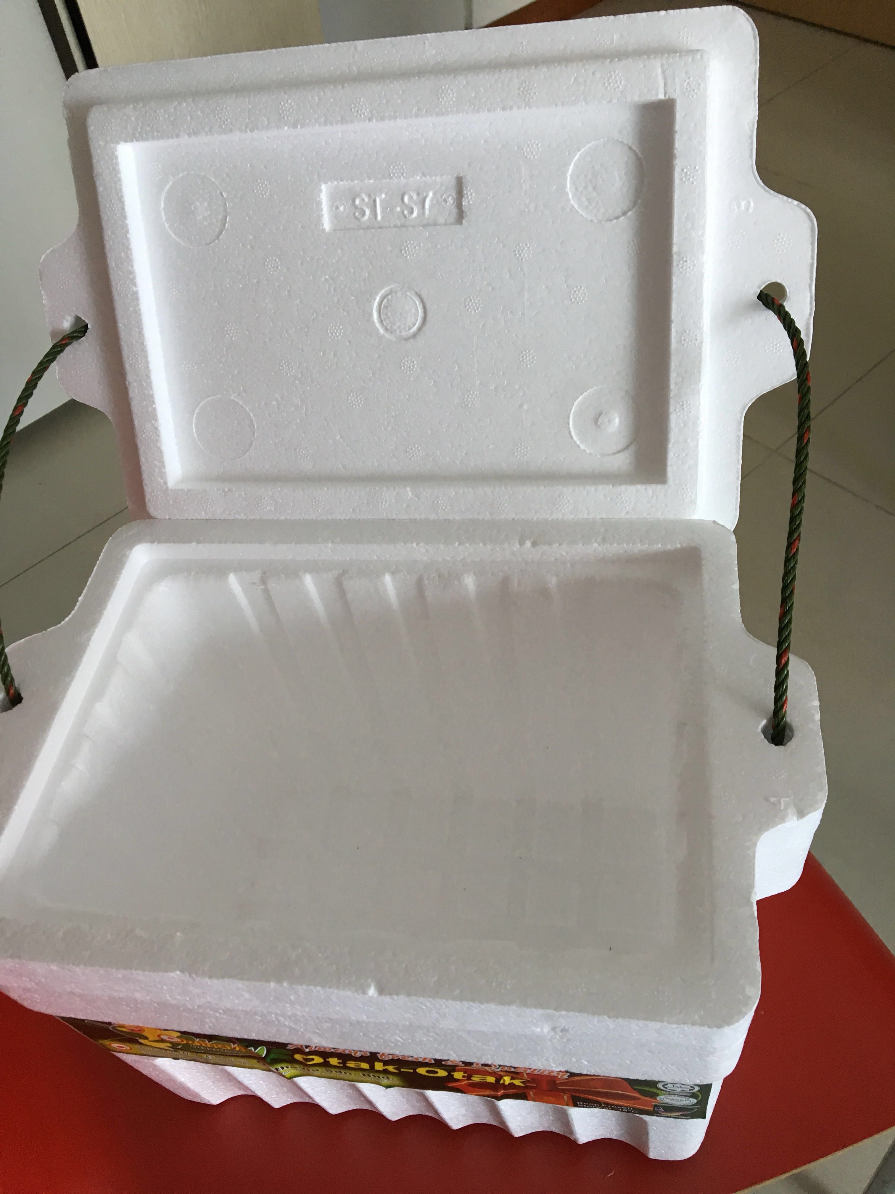 Polystyrene insulated box, Everything Else on Carousell