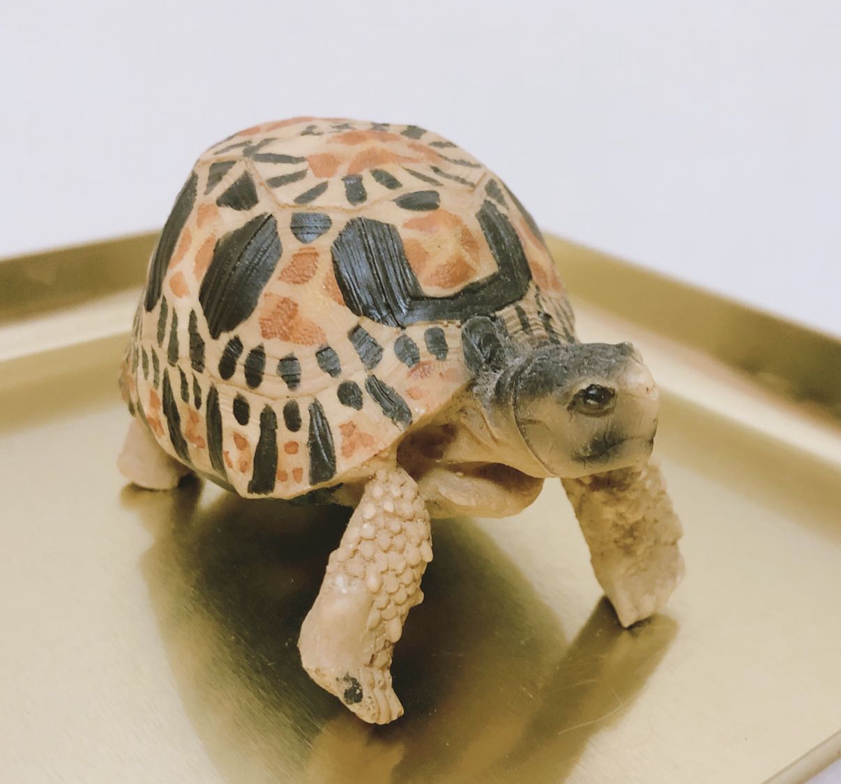 Star Tortoise Figurine, Furniture & Home Living, Home Decor, Other Home ...