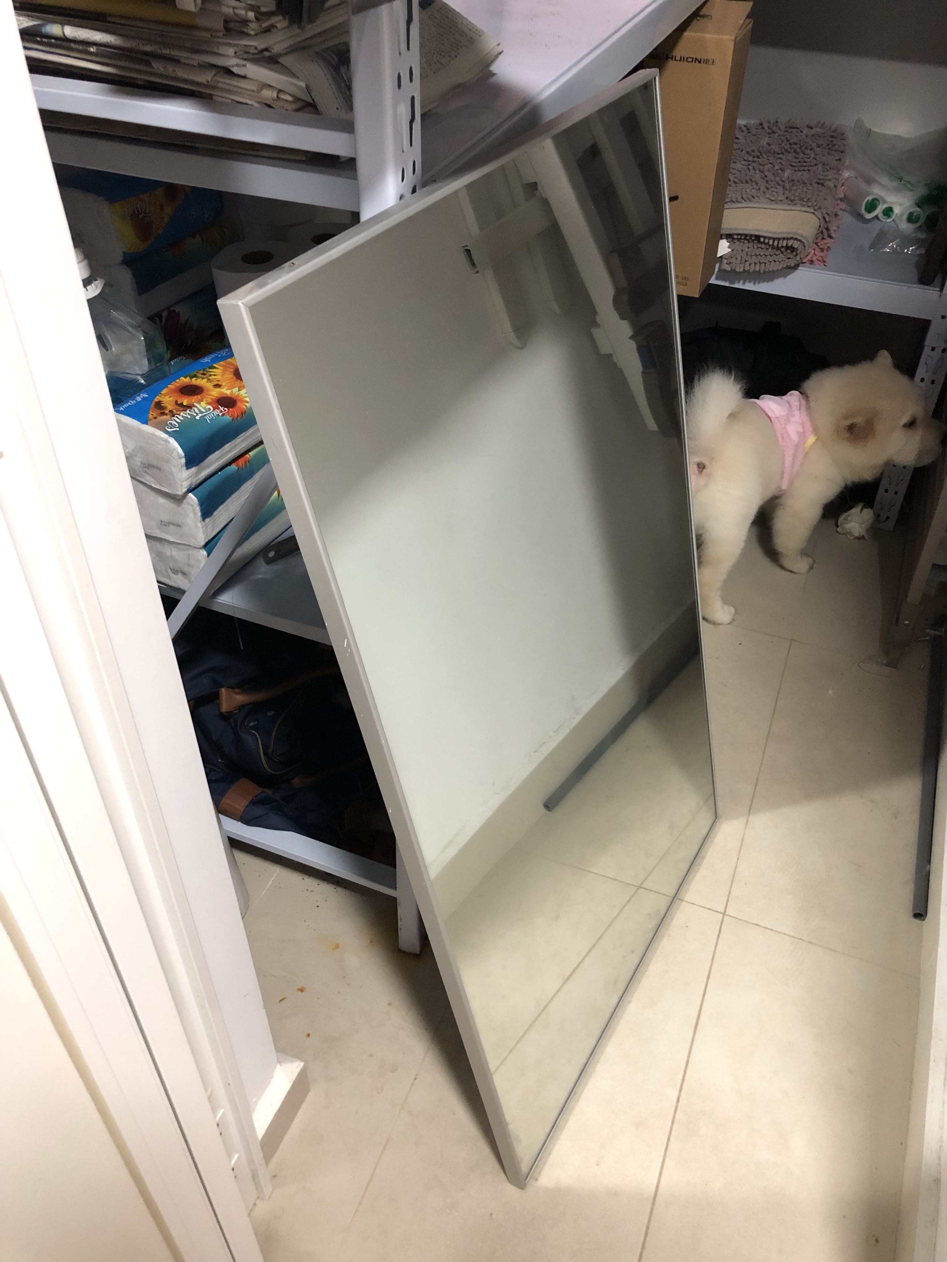 Mirror (100cm x 60cm), Furniture & Home Living, Home Decor, Mirrors on ...