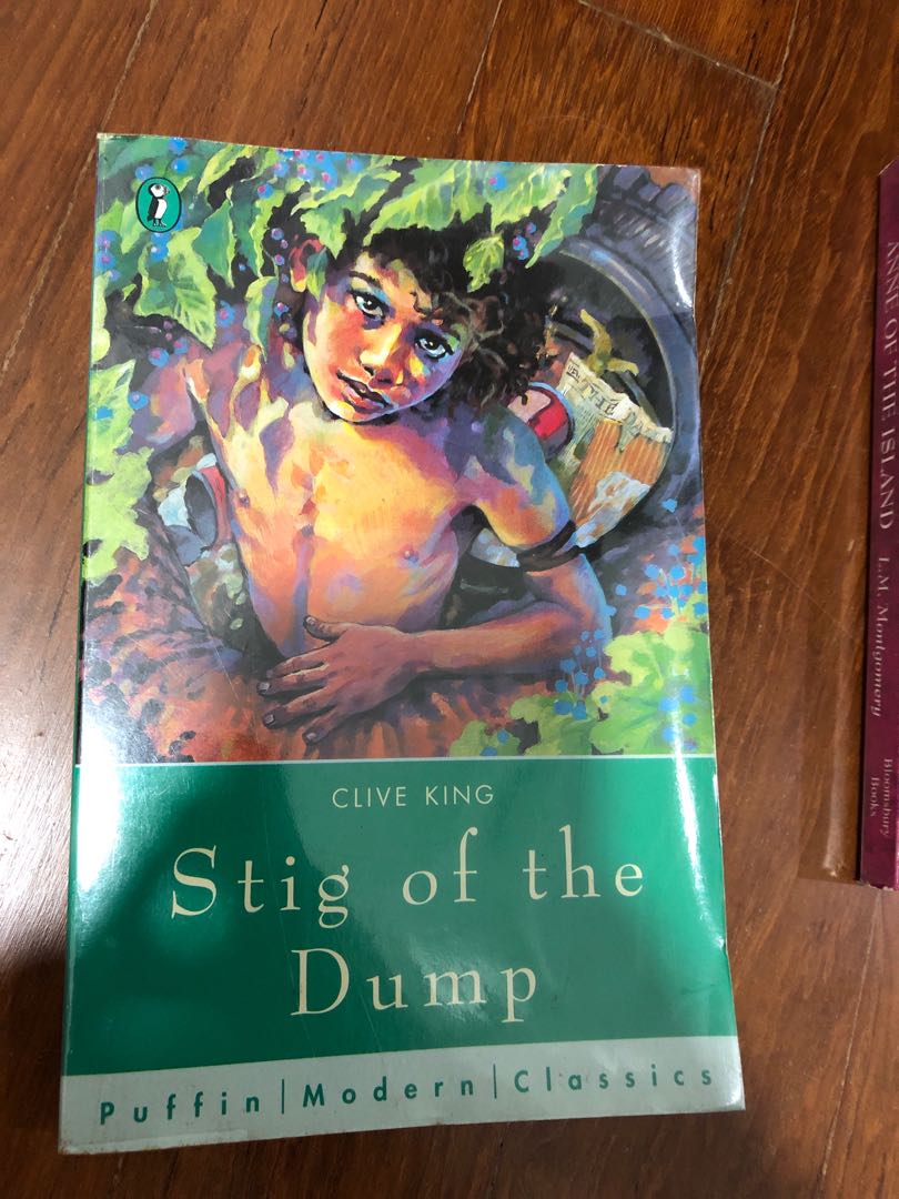 Stig of the dump - Clive king, Hobbies & Toys, Books & Magazines ...