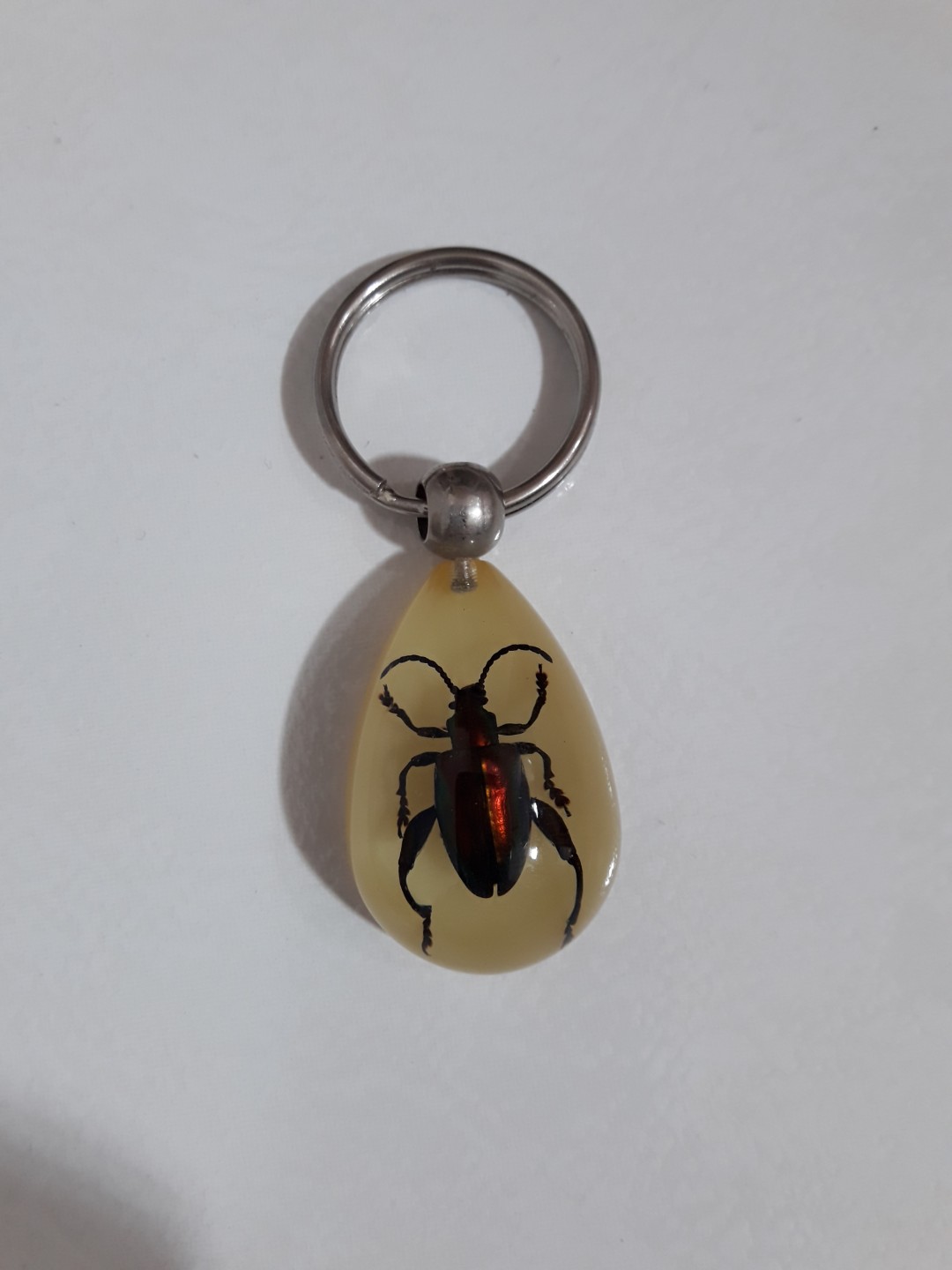 Beetle Keychain Glow in dark, Hobbies & Toys, Collectibles ...