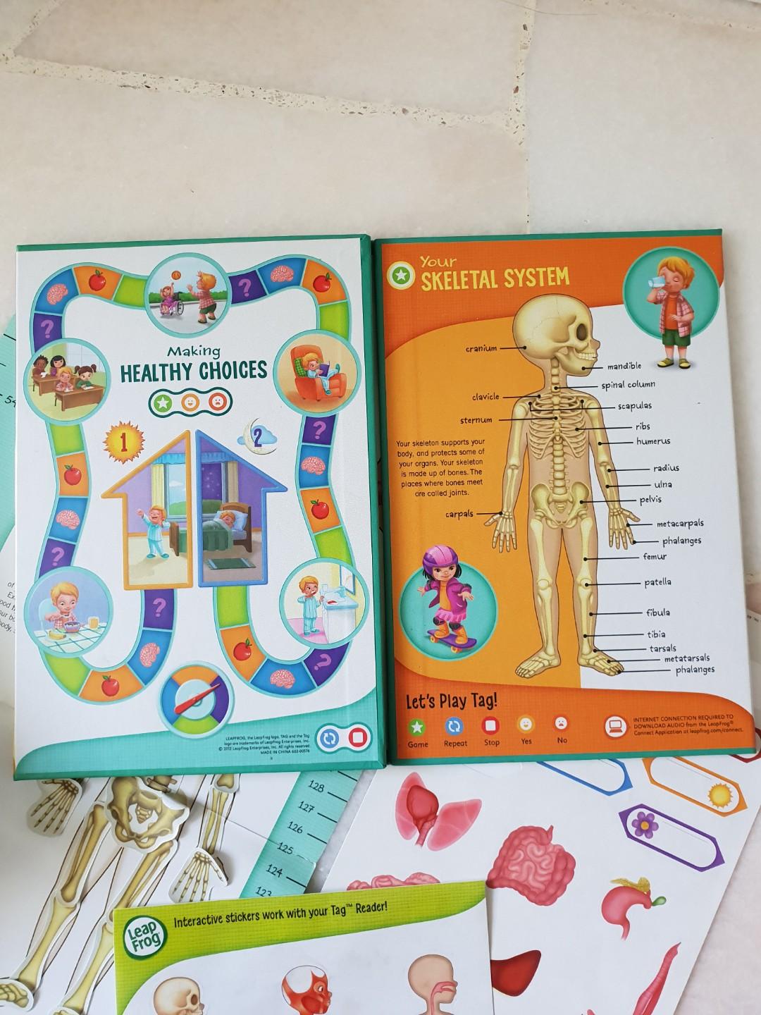 Leapfrog -human body discovery pack + human anatomy model, Hobbies ...