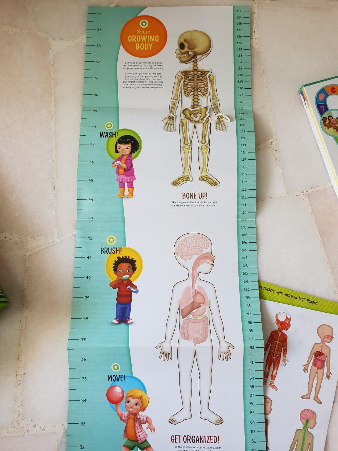 Leapfrog -human body discovery pack + human anatomy model, Hobbies ...