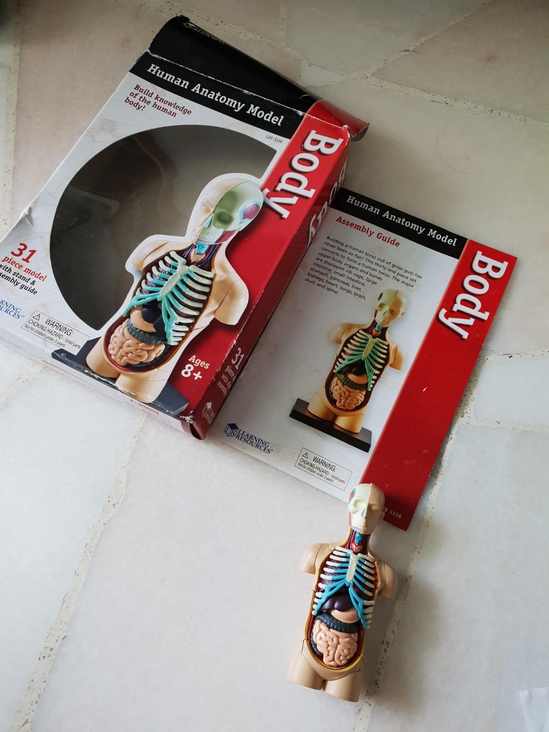 Leapfrog -human body discovery pack + human anatomy model, Hobbies ...