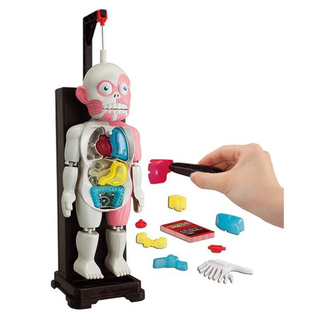 PRE-ORDER : MegaHouse Human Anatomy Dissection Puzzle (Interactive ...